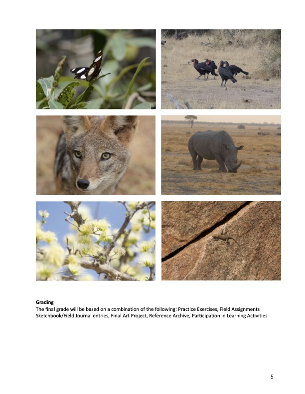 Southern Africa – Art & Science of Conservation in South Africa + Namibia - RISD Global