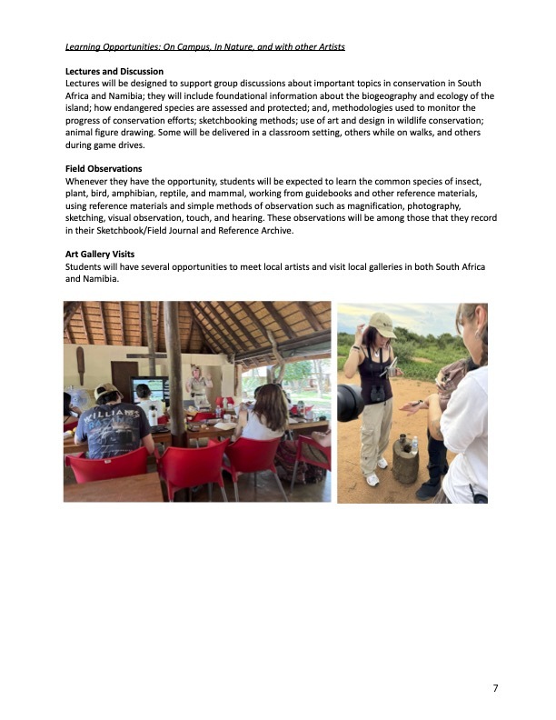 Southern Africa – Art & Science of Conservation in South Africa + Namibia - RISD Global